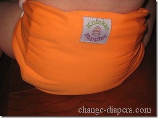 Knickernappies 2G Sized Pocket Diaper Review & Giveaway (CLOSED 11/4)
